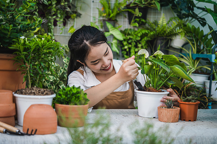 Ini yang Terjadi Pada Bunga Setelah Proses Penyerbukan