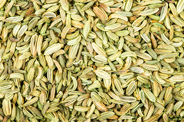 Fennel Seed: Kandungan Nutrisi dan Manfaatnya
