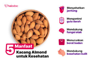 Catat, Ini 5 Manfaat Kacang Almond bagi Kesehatan