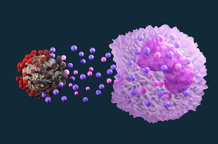 Neutrofil: Fungsi Penting dan Kadar Normal yang Harus Kamu Tahu