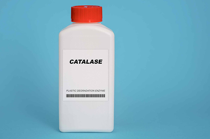 Enzim Katalase: Fungsi, Manfaat, dan Cara Kerjanya