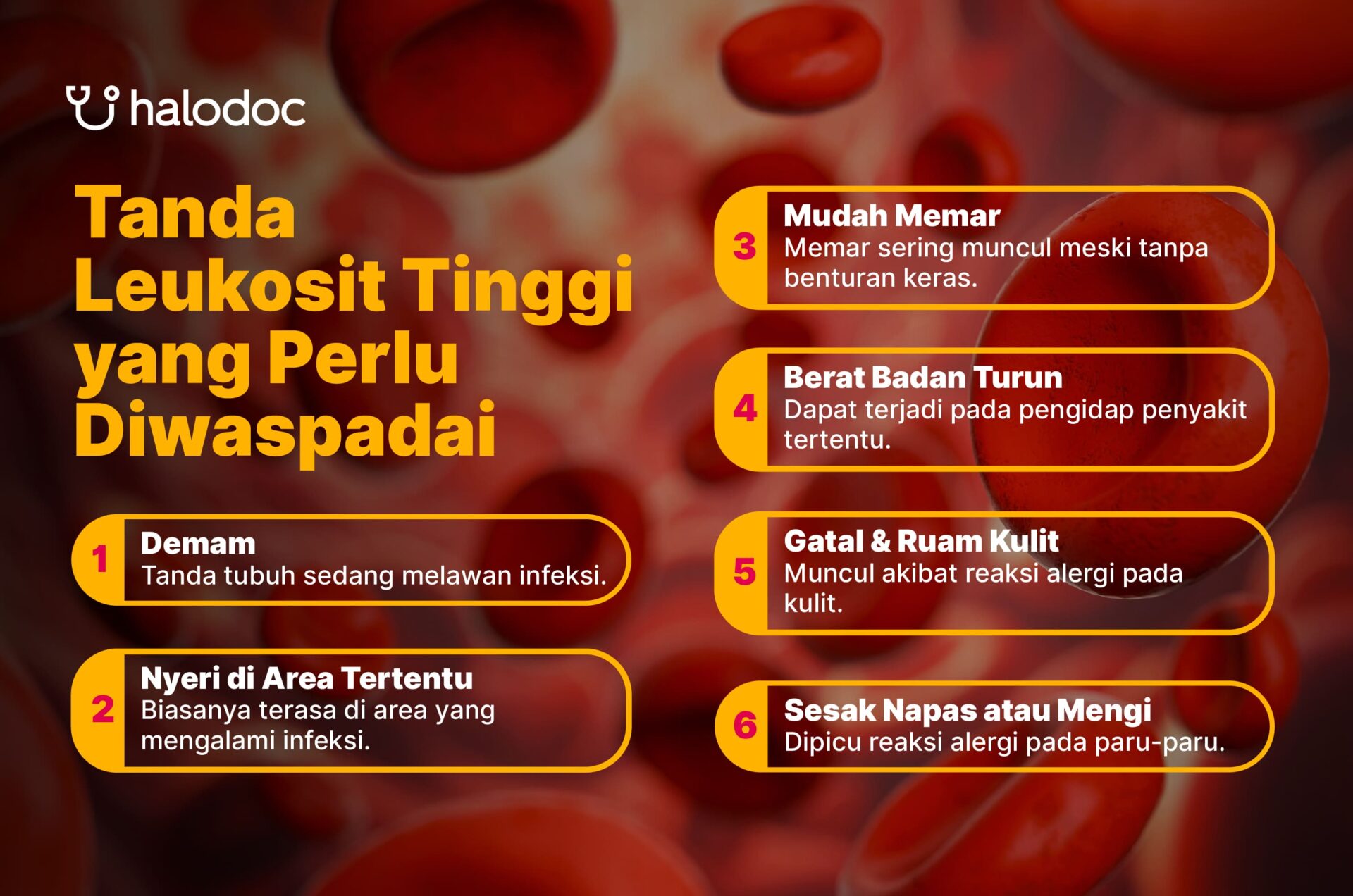 Kadar Leukosit Meningkat, Beberapa Hal Ini Bisa Jadi Penyebabnya