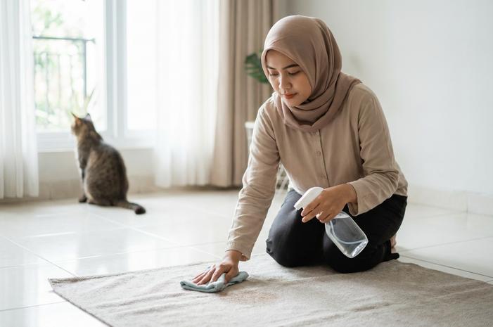Cara Ampuh Menghilangkan Bau Kencing Kucing Seketika
